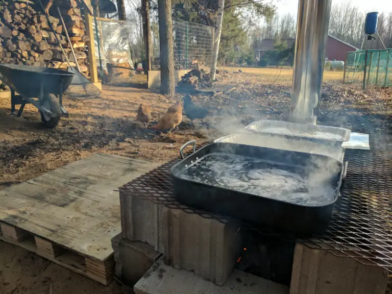 How Many Maple Trees Do You Need to Make Syrup – Country Family Homestead