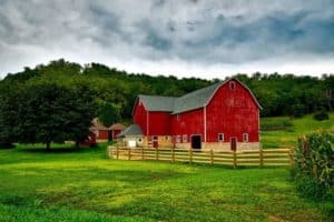 Homestead vs. Farm: What’s the Difference? – Country Family Homestead