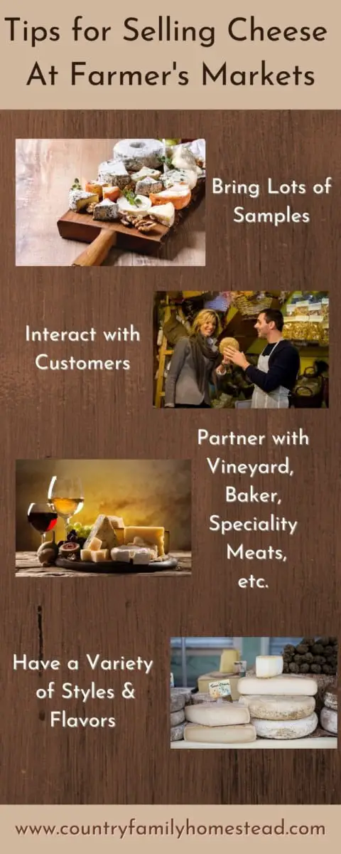 Is Cheesemaking Profitable? Here Are the Facts – Country Family Homestead