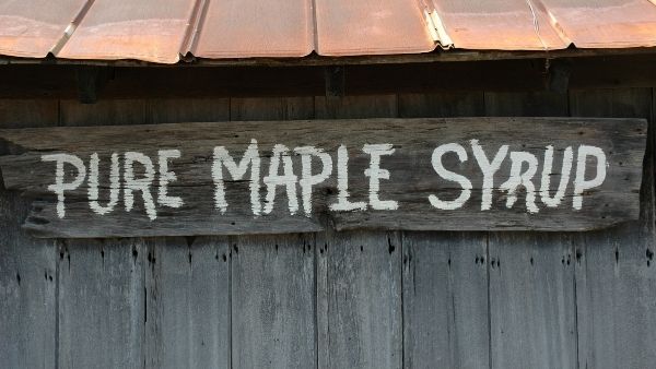 Do You Need A License To Sell Maple Syrup? – Country Family Homestead